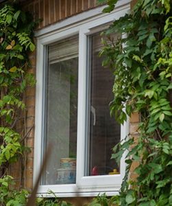 Flush Windows - Polar Bear Windows